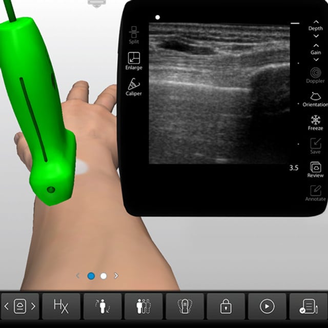 MSK Clinical Ultrasound Training | SonoSim