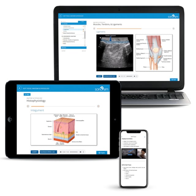 Soft Tissue Anatomy & Physiology Ultrasound Training | SonoSim